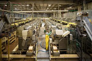 Careers in Food Manufacturing | Neil Jones Food Company