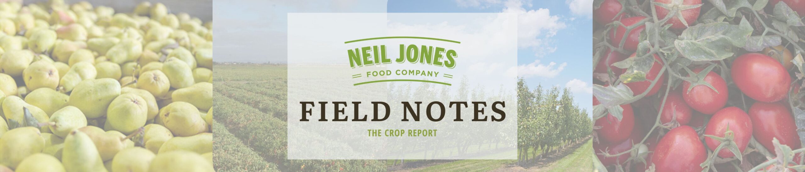 Crop Report - March 2026 - Neil Jones Food Company